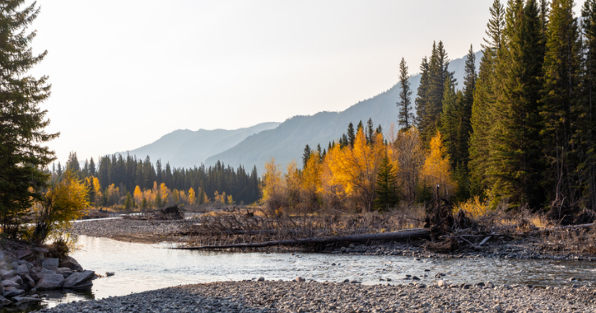 The 17 Best Things To Do In Montana This Fall