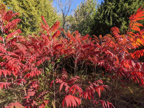 The 15 Best Things To Do In Nebraska In This Fall