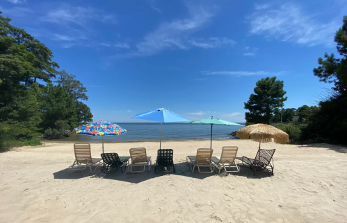 Explore Tangier Island: Virginia's Vanishing Gem