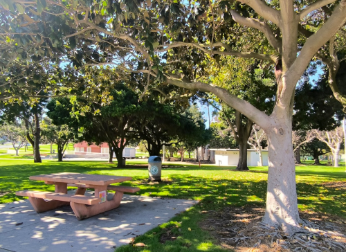 Spend A Summer Day At Pollywog Park In Manhattan Beach, CA