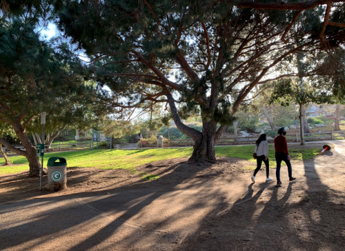 Spend A Summer Day At Pollywog Park In Manhattan Beach, CA