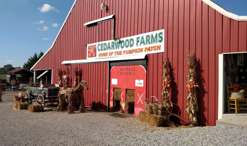 The 15 Best Things To Do In Tennessee In The Fall