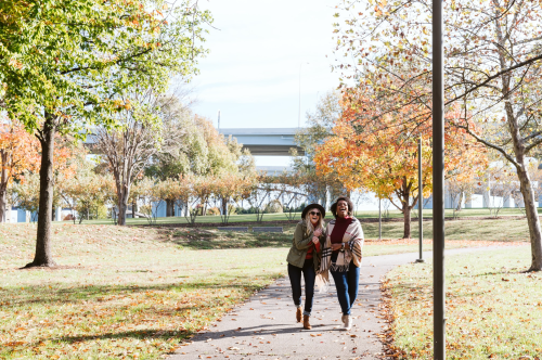 The 16 Best Things To Do In Kentucky In The Fall