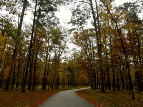 The Best Things To Do In Texas In The Fall