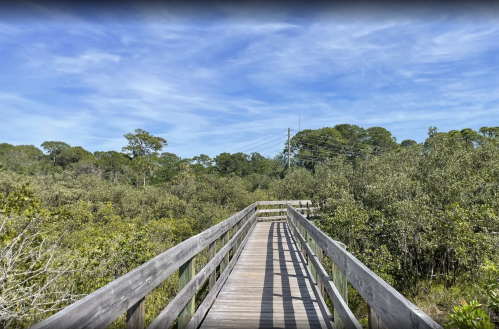 Key Vista Loop: Best Waterfront Hikes In Florida