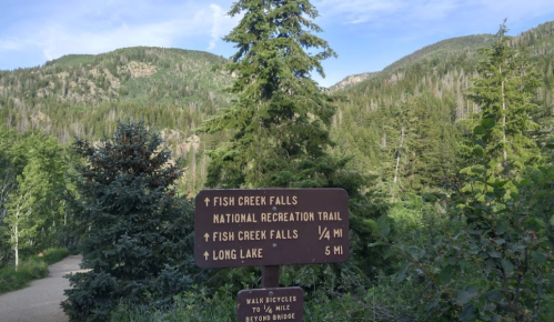 It’s Worth Driving Far To See This Stunning Waterfall For Yourself