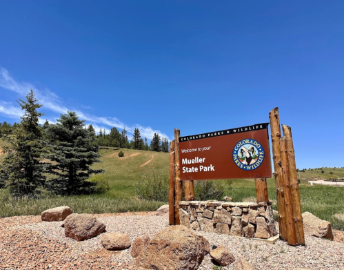 Mueller State Park: Best Campground Near Divide, Colorado