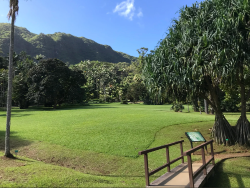 Hidden Nature Day Hike In Hawaii: Lyon Arboretum