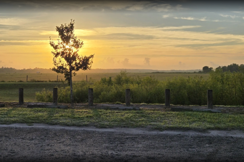 The Balm Boyette Scrub: A Hidden Gem Nature Preserve In Florida