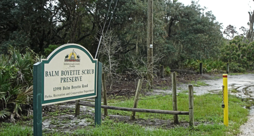The Balm Boyette Scrub: A Hidden Gem Nature Preserve In Florida