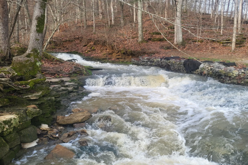 The Cherokee Park Scenic Loop Is A Great Paved Trail In Louisville