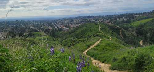 Take A Day Hike Around O'Melveny Park In Granada Hills, CA