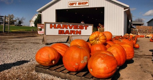 The Bloomfield, Iowa Amish Community Is Worth A Visit
