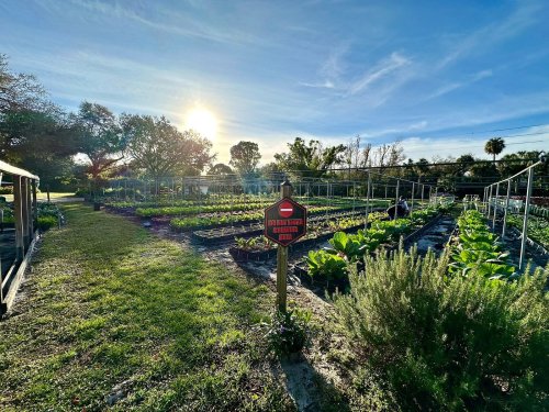Buckingham Farms: A Farm To Table Restaurant In Fort Myers, FL