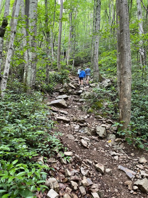 Compression Falls: A Thrill Seeking Swimming Hole In Tennessee