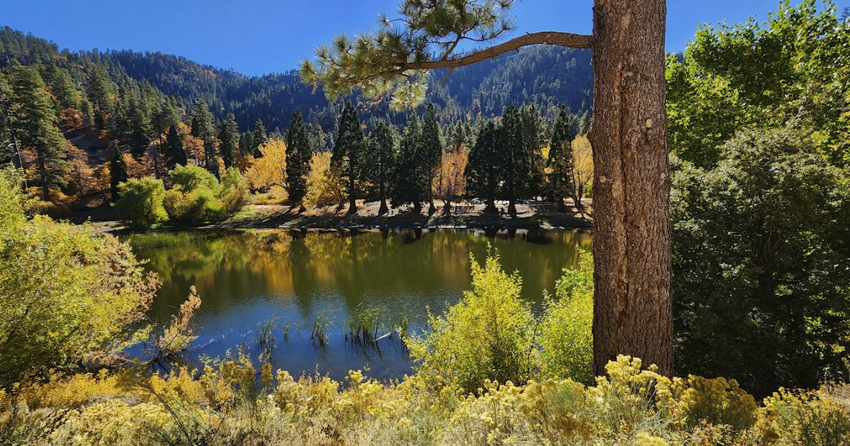 The 15 Best Things To Do In Southern California In This Fall