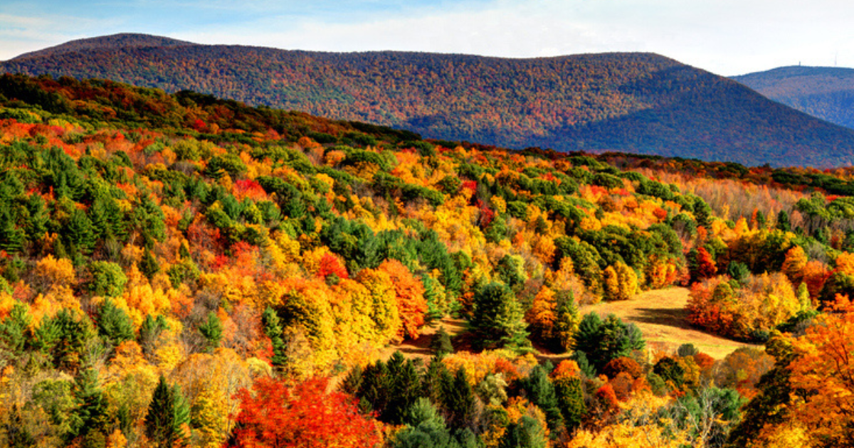 Your Ultimate Guide To Fall Attractions And Activities In Massachusetts