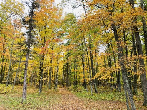 See 5 Of Michigan's Most Iconic Views On This Road Trip