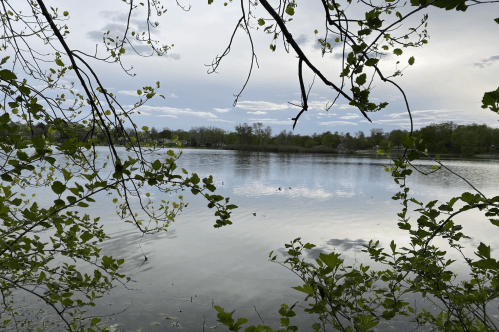 Big Oaks National Wildlife Refuge: The 50,000-Acre Wildlife Refuge in ...