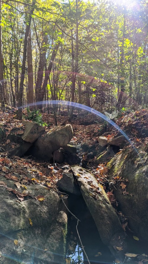 Day Hike In North Carolina: De Hart Botanical Gardens