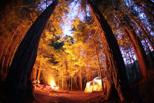 Camping Near Me: The 13 Coolest Campgrounds Across the U.S.