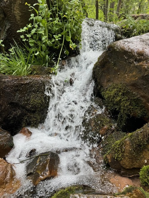 See Spring Trail: Waterfall Hike In Arizona