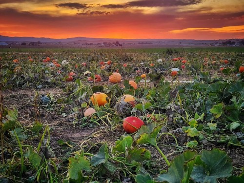 Top Fall Activities and Destinations in Idaho