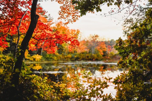 The 14 Best Things To Do In Massachusetts In This Fall