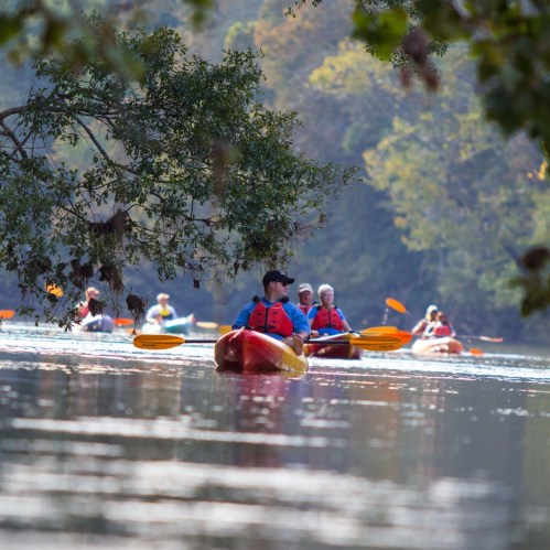 Perfect Summer Day Trip: Saluda Shoals Park In South Carolina