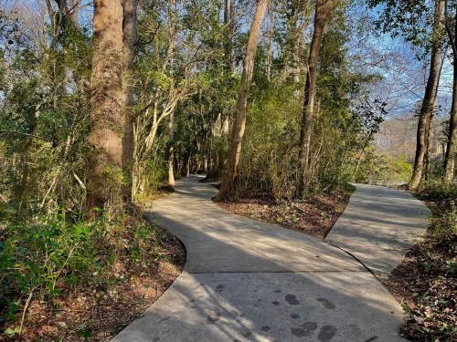 Perfect Summer Day Trip: Saluda Shoals Park In South Carolina