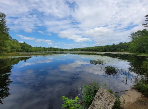 Explore Breakheart Pond Loop via Hicks Trail in Rhode Island