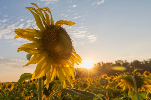 Things To Do In Summer In Minnesota For Your Bucket List