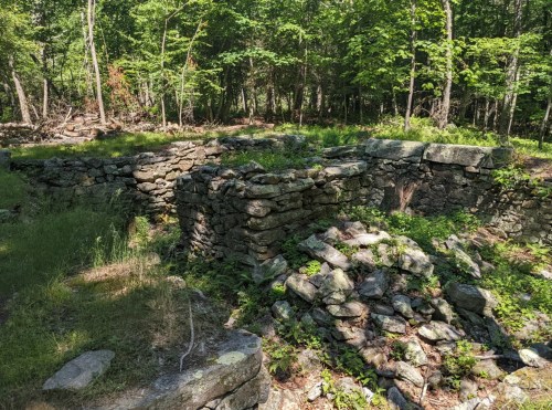 Explore Sprague Farm Town Forest Loop Trail in Rhode Island