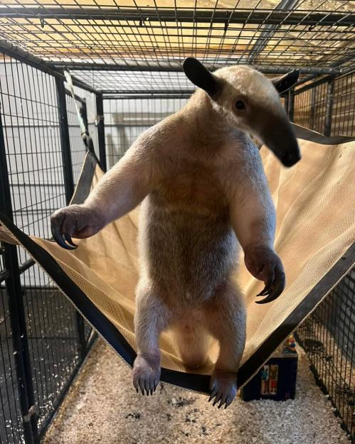 Unique And Up-Close Animal Encounters: WorkHorse Farm