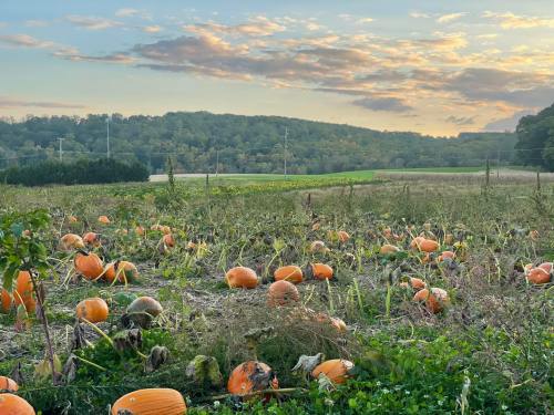 The 15 Best Things To Do In Pennsylvania In The Fall