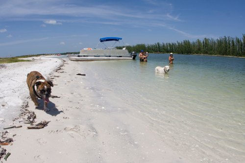 Road Trip to 7 Hidden Beaches in Florida, Each More Beautiful Than The Last