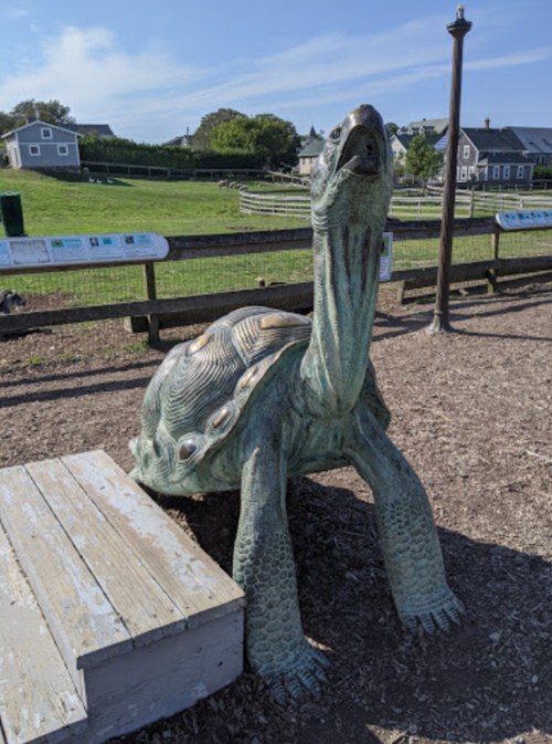 Abrams Animal Farm In Rhode Island