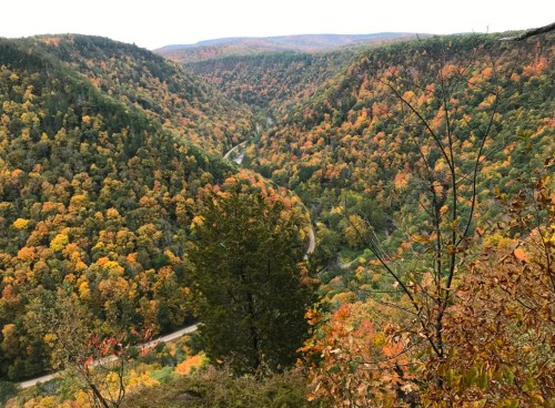 Explore Barbour Rock Trail for Stunning Fall Foliage in Pennsylvania