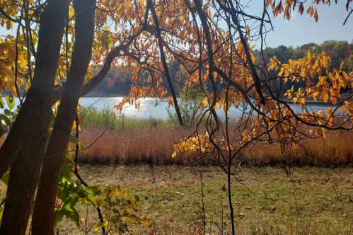 The 16 Best State Parks in Indiana to Visit ASAP