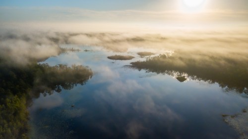 Explore Florida’s Natural Wonders: A 2-Day Road Trip Adventure