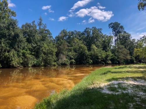 Discover Bogue Falaya Wayside Park in Covington, Louisiana