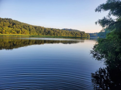 Of All The Forests In Indiana, This One Might Be The Most Magical