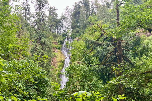 5 Oregon Coast Waterfalls To Visit on a 2-Day Road Trip