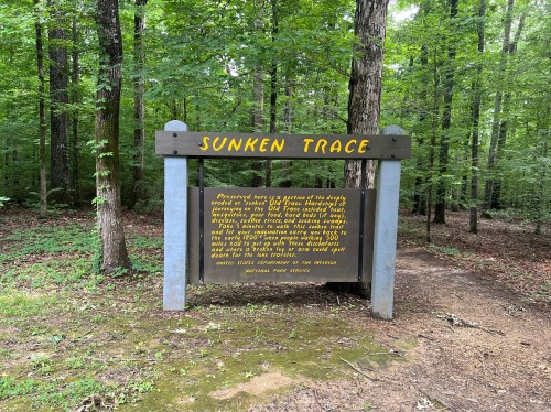 Discover The Sunken Trace A Natural Wonder in Mississippi