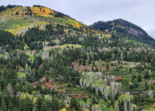 Defa's Dude Ranch: Bucket-List-Worthy Ranch In Hanna, Utah