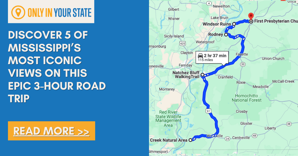 Explore Mississippi's Iconic Views on a 3-Hour Road Trip