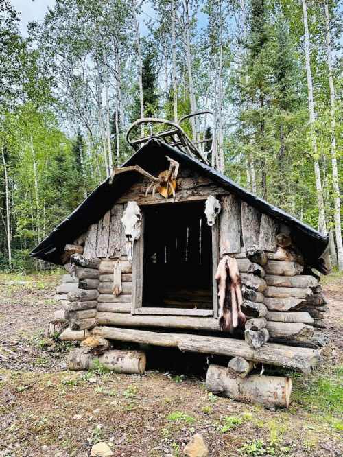 Book a Stay In This Historic Cabin in Alaska