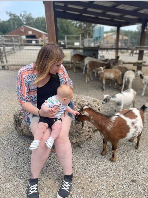 Critter Lane Petting Zoo! Animal Encounter: Valles Mines, Missouri