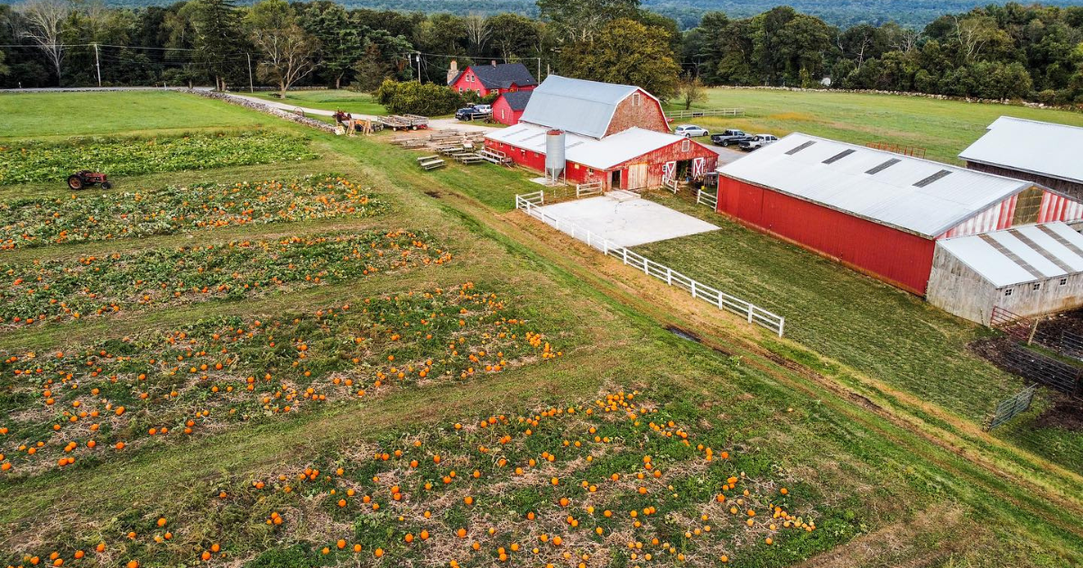 Best Pumpkin Patches in Rhode Island: Fall 2025
