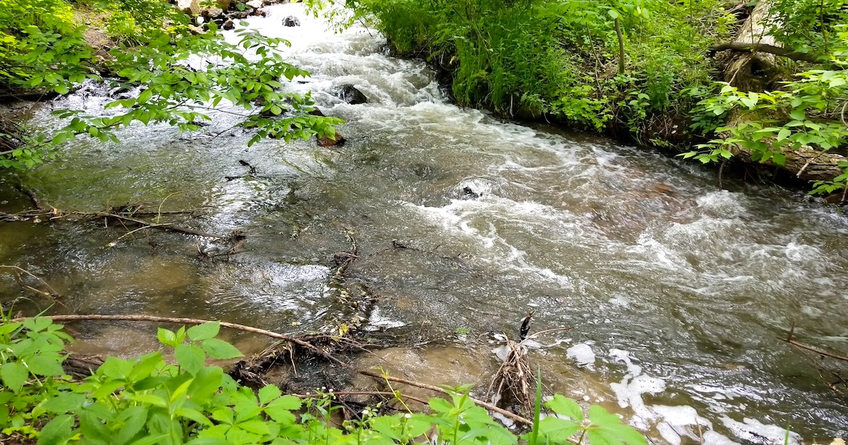 The Stunning Natural Springs In Minnesota That Few Have Ever Heard Of